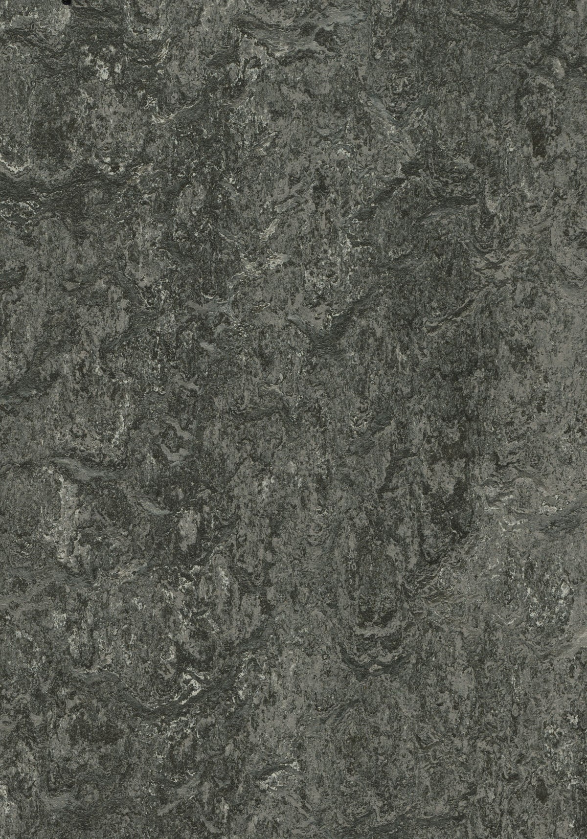 Marmoleum Decibel - Graphite - 304835 — DwellSmart