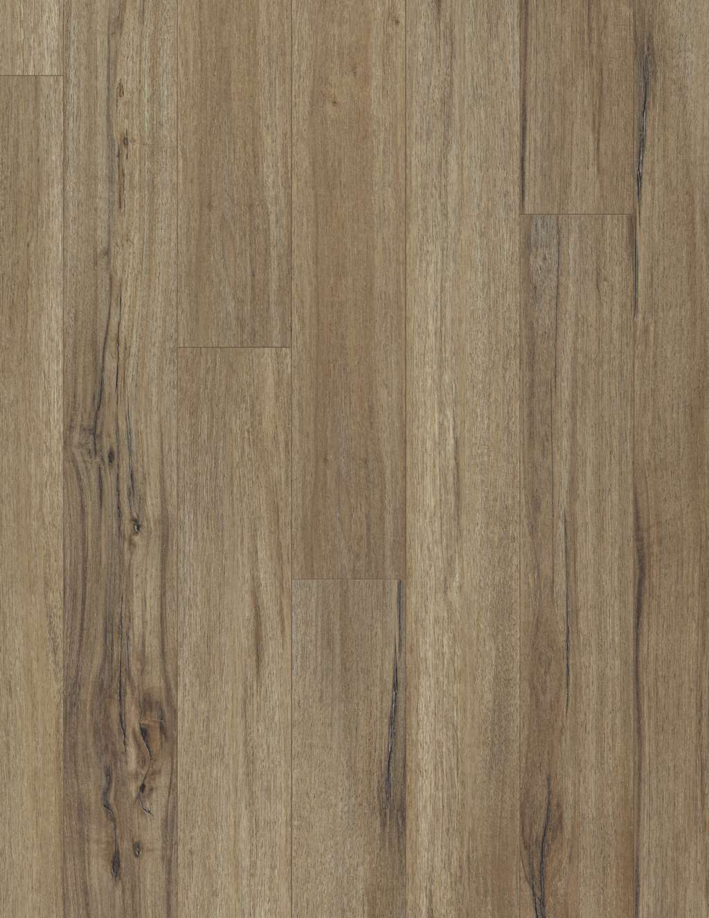 COREtec Plus 5" Plank - Baywood Oak - VV023-00503 — DwellSmart