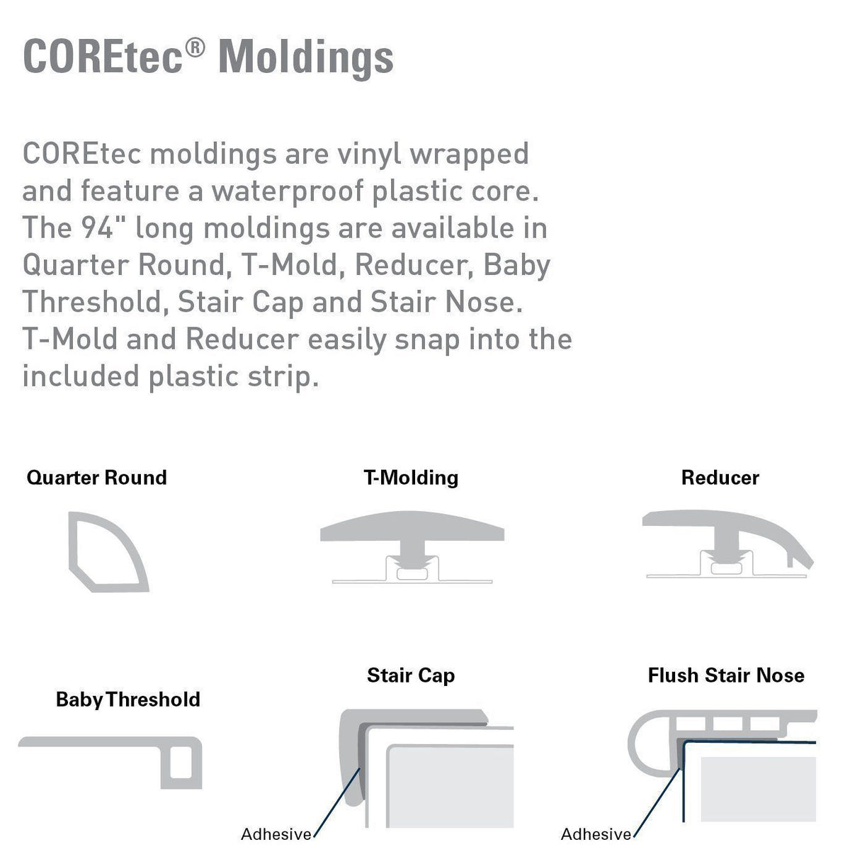 COREtec Pro Plus XL Enhanced Transition Moldings — DwellSmart