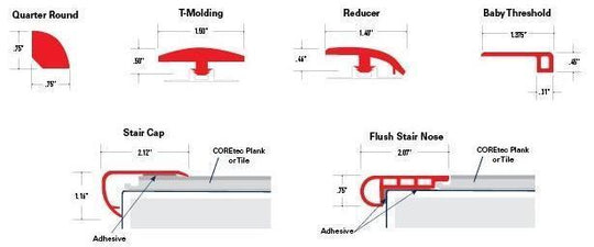 COREtec Pro Plus XL Enhanced Transition Moldings — DwellSmart